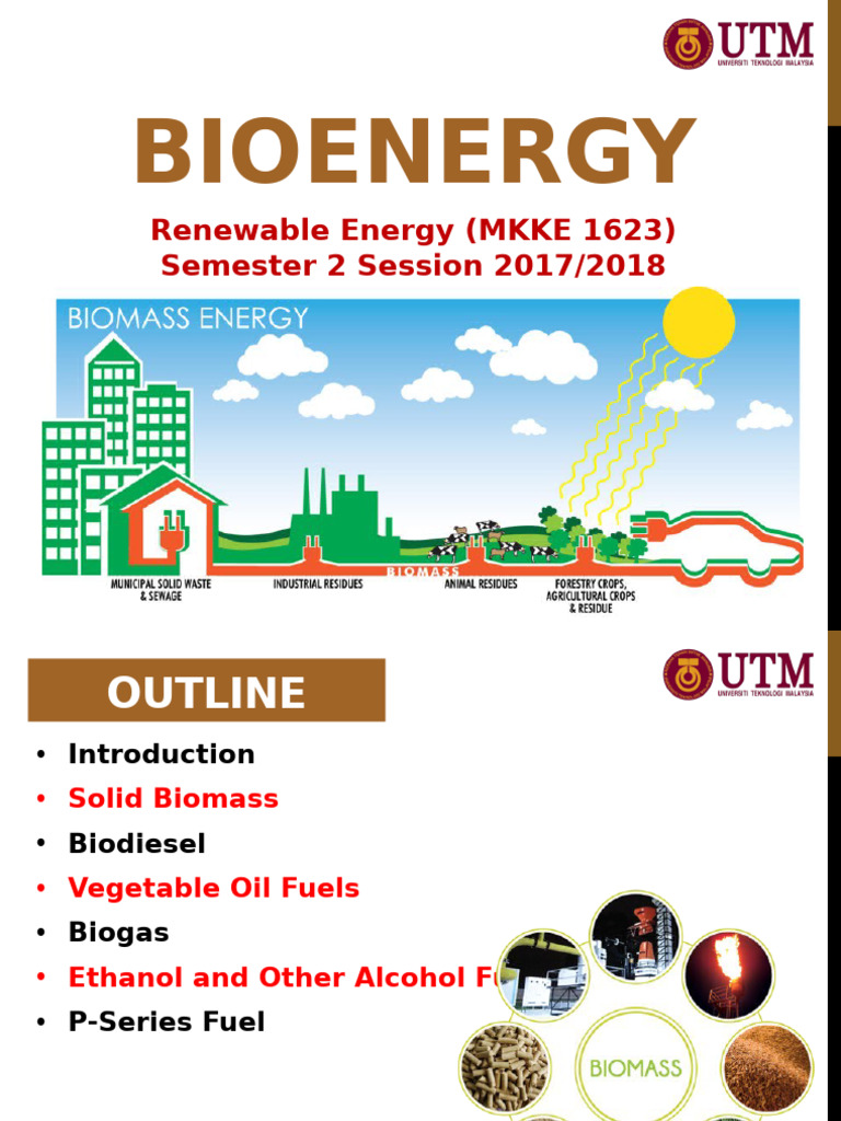Understanding Bioenergy and Biomass | PDF | Biodiesel | Biofuel