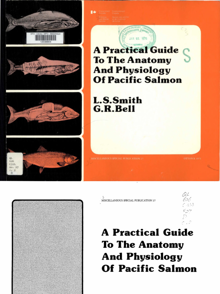 Physiology and Anatomy of Salmon Fish Book | PDF | Anatomy | Esophagus