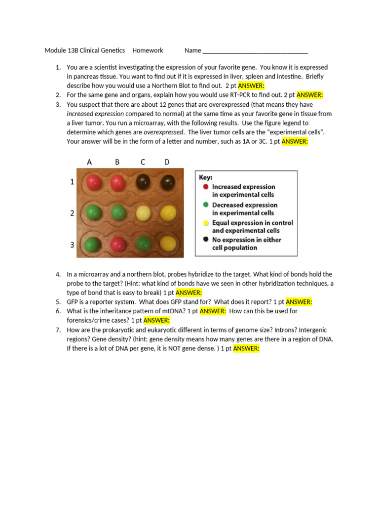 Module 13B Homework-1 | PDF