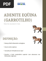 Garrotilho e Mormo em Equídeos: Revisão | PDF | Medicina Veterinária ...