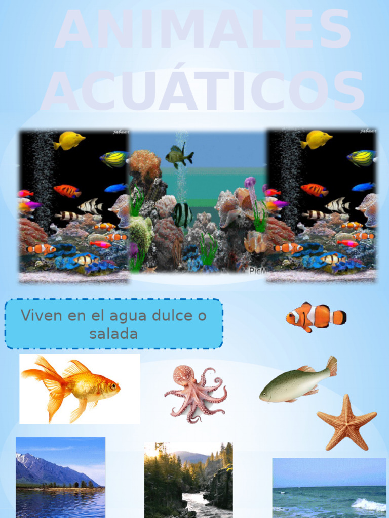 Animales Acuáticos Fascinantes | PDF