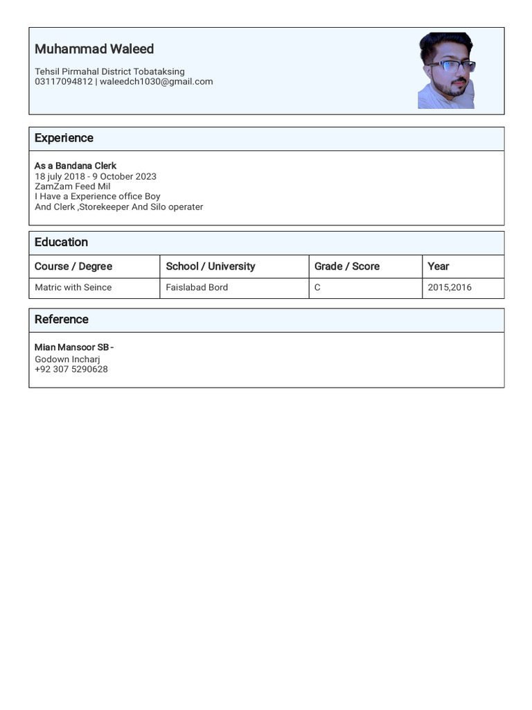 CV Muhammad Waleed | PDF
