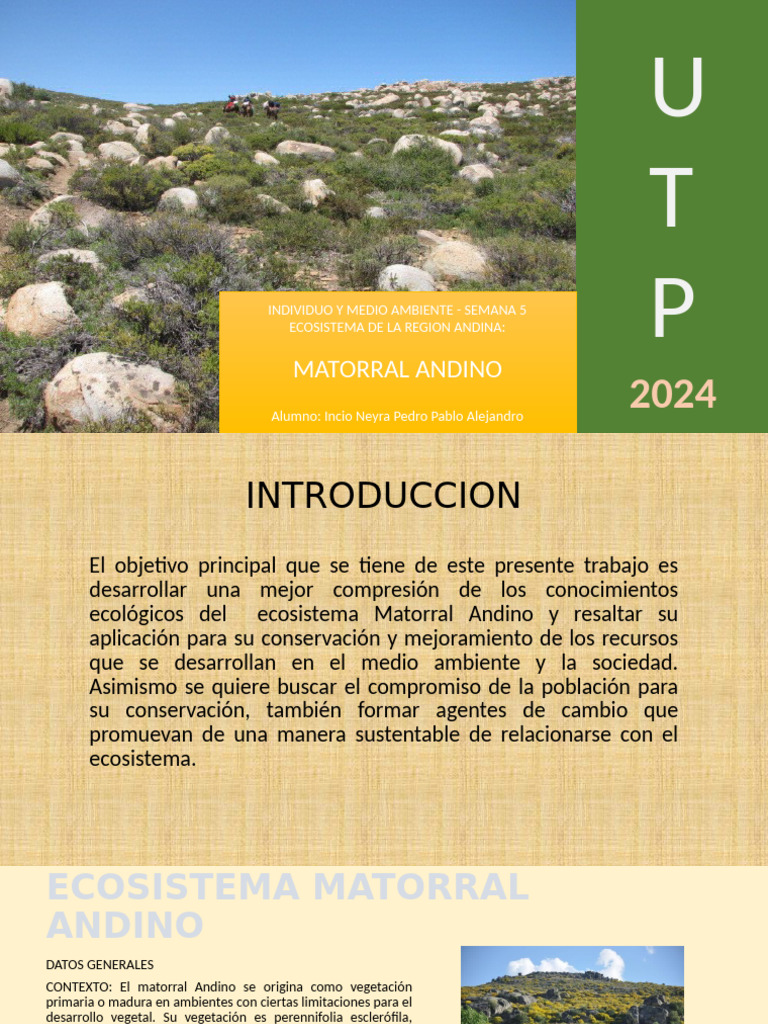 Conservación del Matorral Andino | PDF | Ecosistema | Suelo