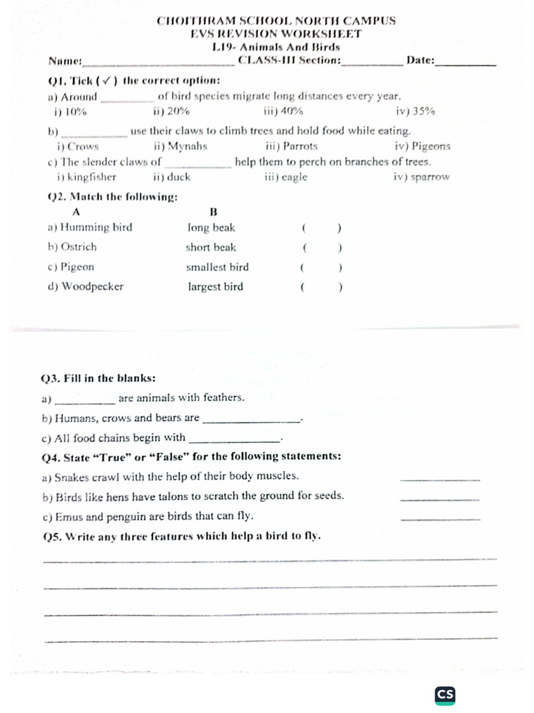 Evs 3rd l19 Revision Sheet | PDF