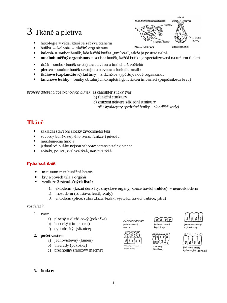3 Tkáně A Pletiva | PDF