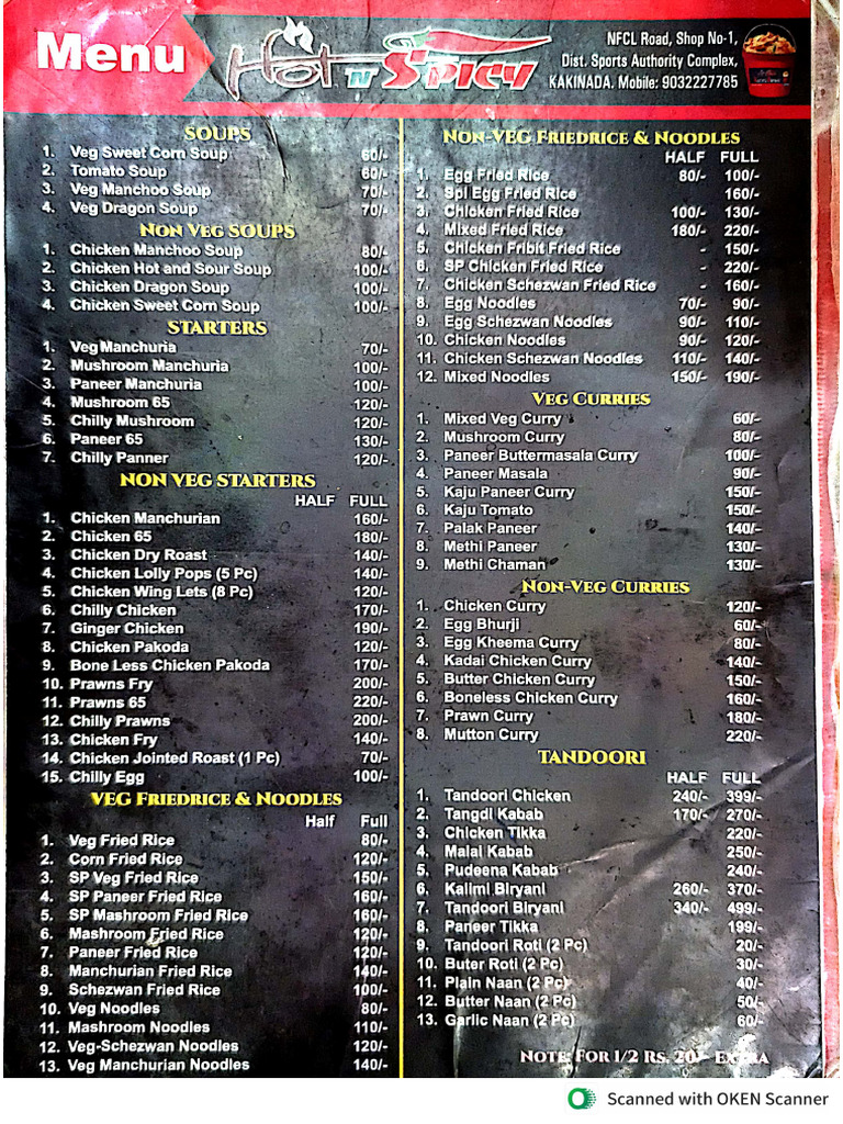 Hot N Spicy Menu | PDF