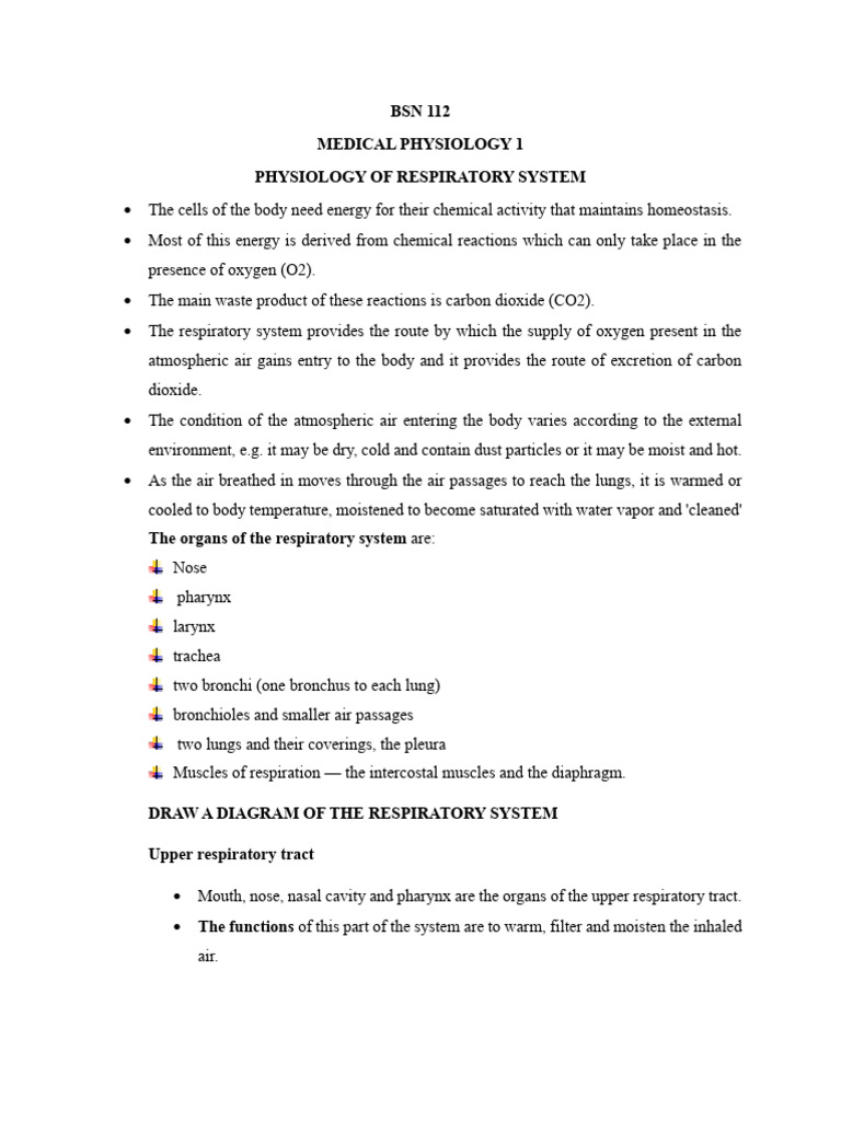 BSN 112 RESPIRATORY SYSTEM (AutoRecovered) | PDF | Respiratory Tract | Lung