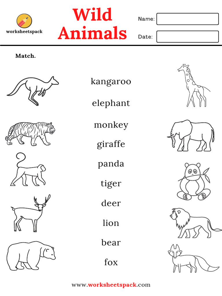 Wild Animals Worksheets | PDF