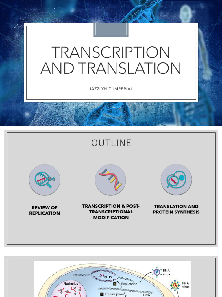LESSON - Transcription and Translation | PDF | Genetic Code ...