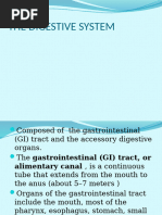 Digestive System Anatomy | PDF | Human Digestive System | Stomach