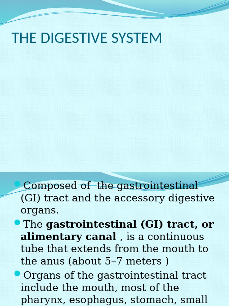 Overview of the Digestive System | PDF | Stomach | Liver