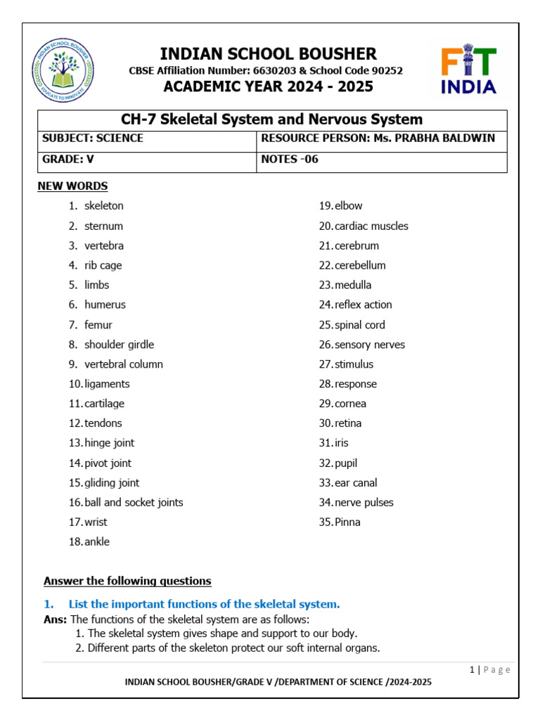 Gr5-Sci-notes-ch7-Skelatal System and Nervous System | PDF | Skeleton ...
