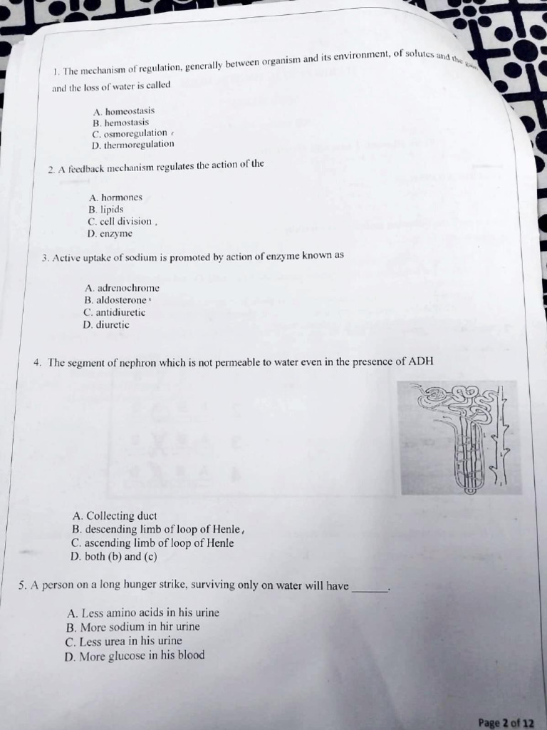 Biology Practice Paper class 10 | PDF