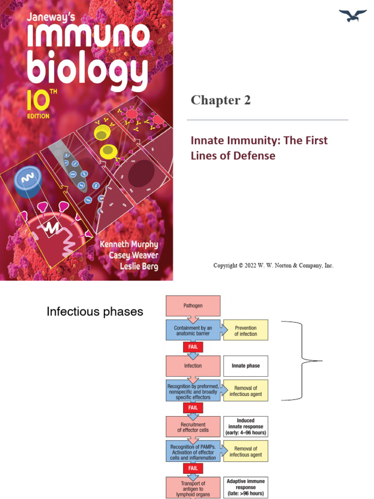 Chap 2.slides | PDF | Complement System | Immune System