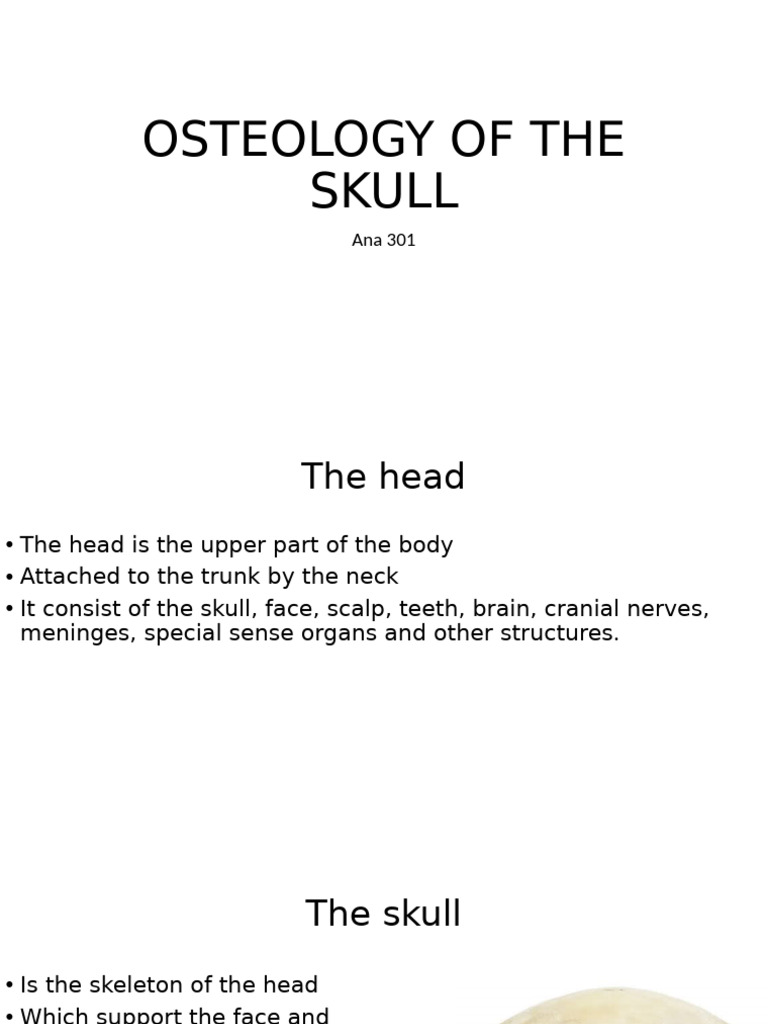 Osteology of The Skull New | PDF | Skull | Vertebra