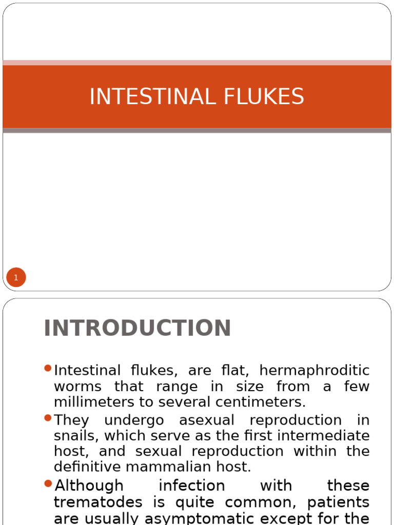 Intestinal Flukes 2 2016 | PDF | Clinical Medicine | Diseases And Disorders