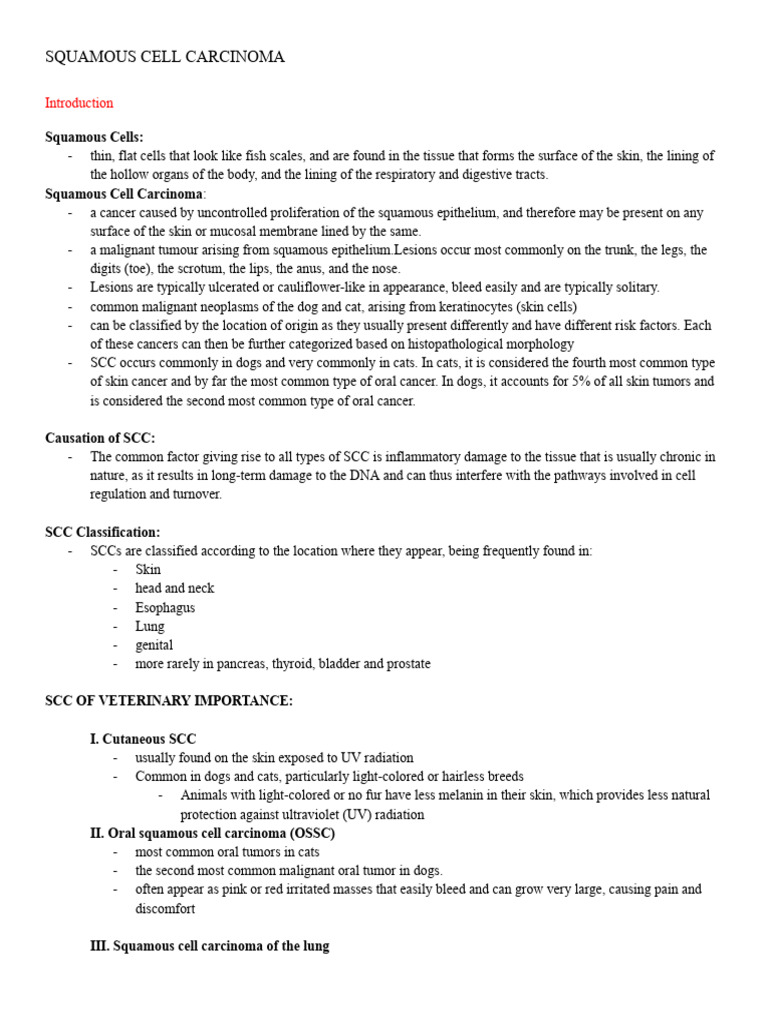 Epithelial Tissues Papilloma and Squamous Cell Carcinoma | PDF ...