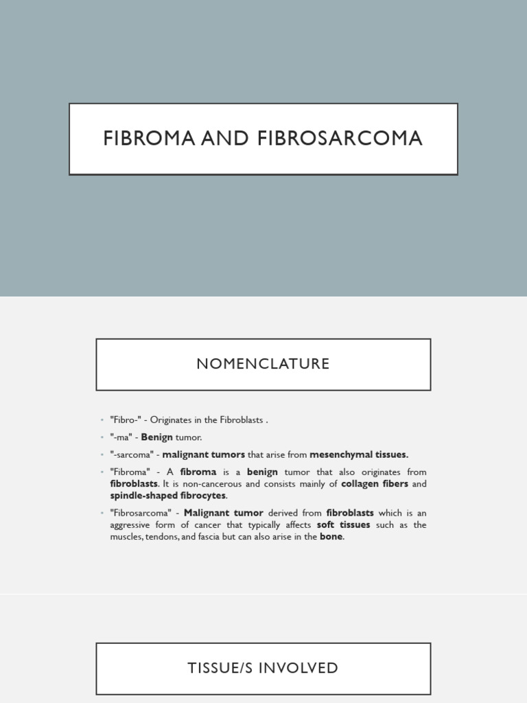 First Reporter (MYXO and FIBRO) | PDF | Angiogenesis | Metastasis
