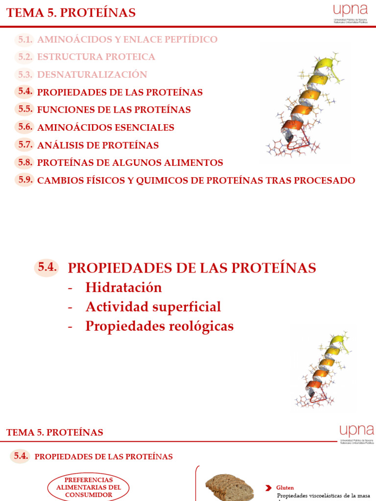 T5. Proteinas_2 | PDF | Proteínas | Biotecnología