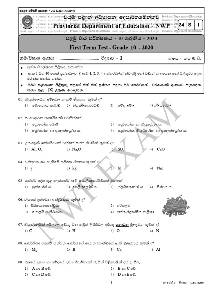 Grade 10 Science 1st Term Papers 2020 | PDF