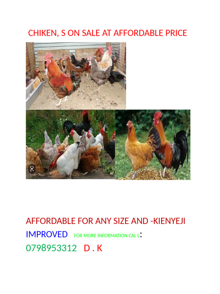 Chiken | PDF