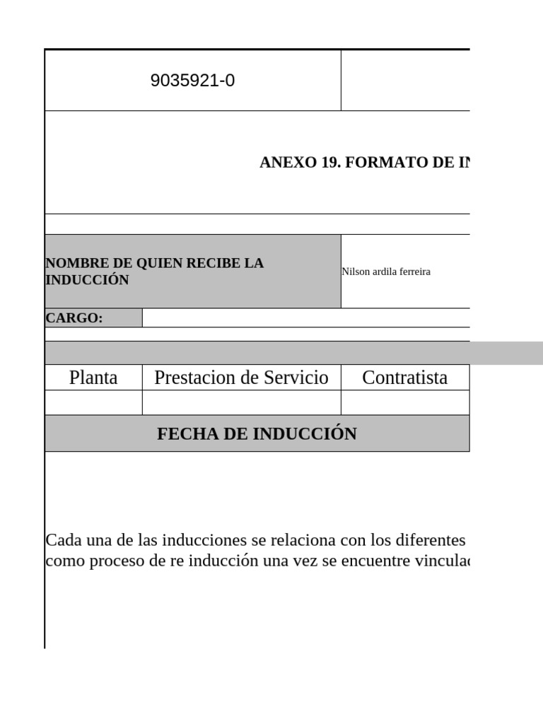 Formato de Inducción y Reinducción | PDF | Business | Valores