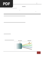 Maths Trigonometry Class 10 Case Studies | PDF | Lighthouse