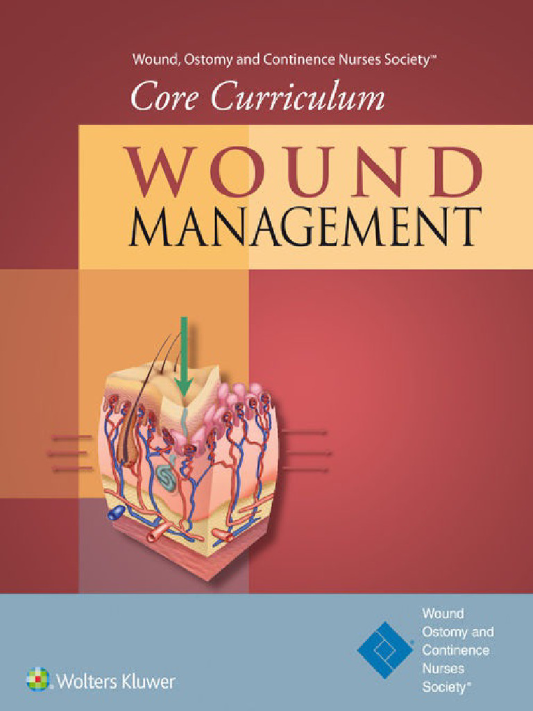 Wocn - Principles of Wound Assessment and Management-Lippincott ...