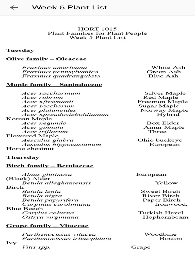 Week 5 Plant List | PDF
