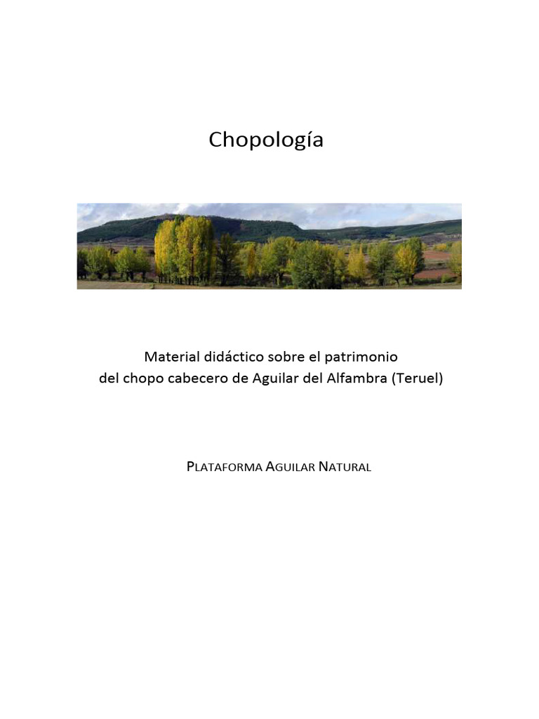 Guía sobre el Chopo Cabecero en Teruel | PDF | Arboles | Los bosques