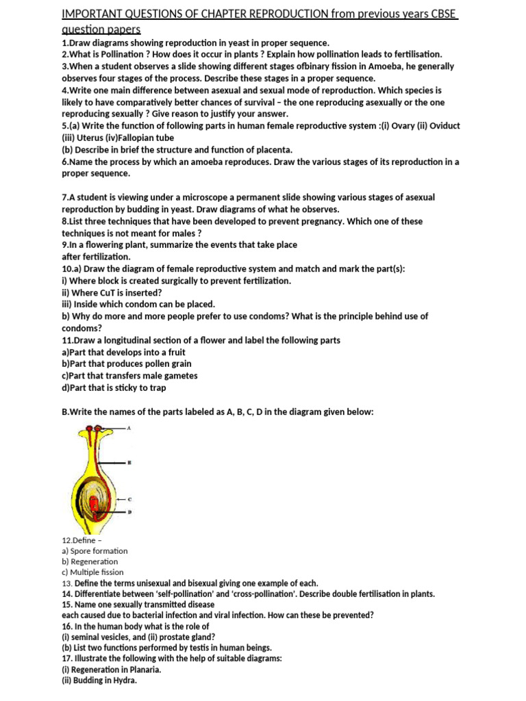 CBSE Reproduction Chapter Questions | PDF | Fertilisation | Reproduction