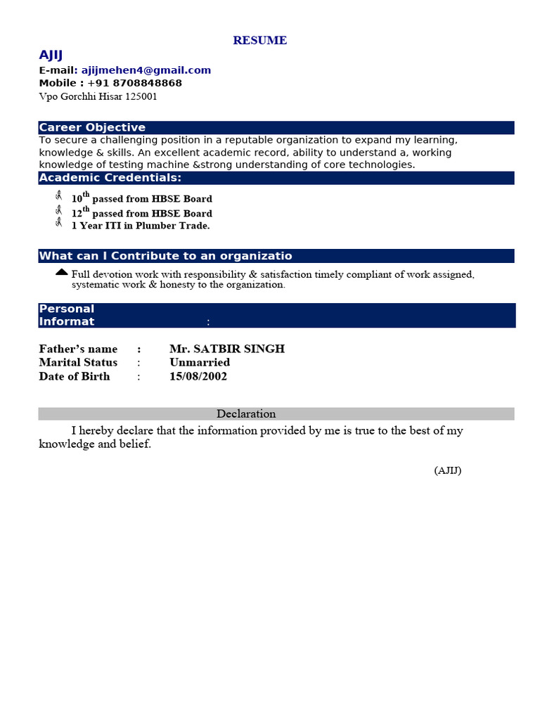 Ajij Resume | PDF