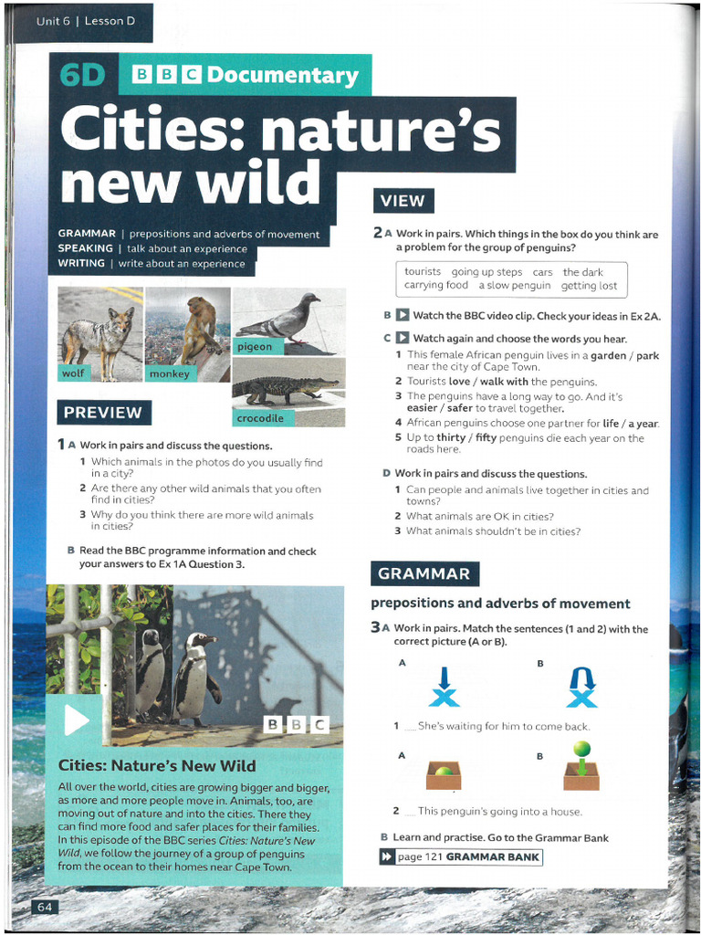 Speakout A2 3rd Edition 6D | PDF