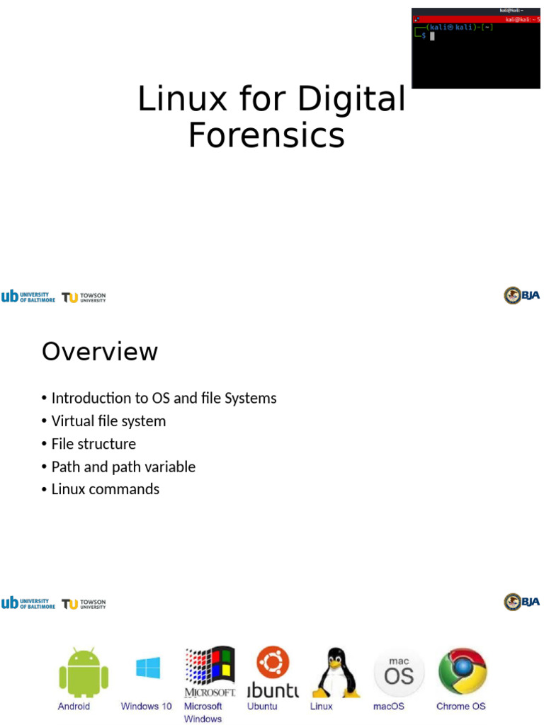 3 Linux Command Line Tutorial | PDF | File System | Computer File