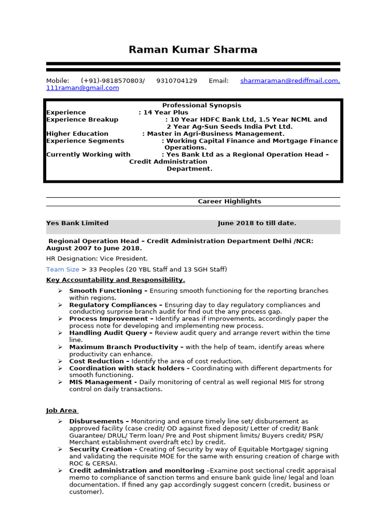 1543337690942resume Raman | PDF | Audit | Banks