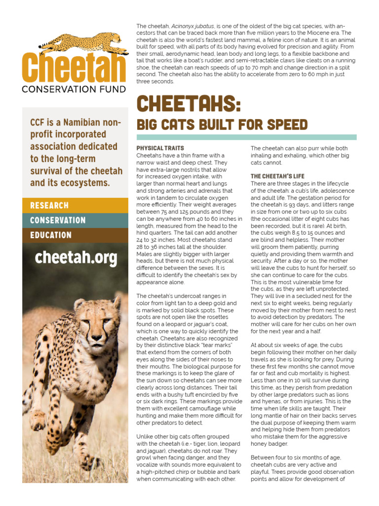 Cheetah Conservation & Traits | PDF