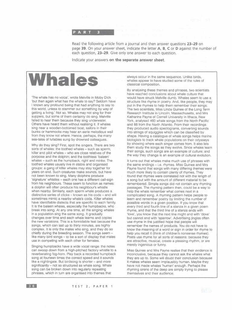 Whales (Reading Comprehension) | PDF