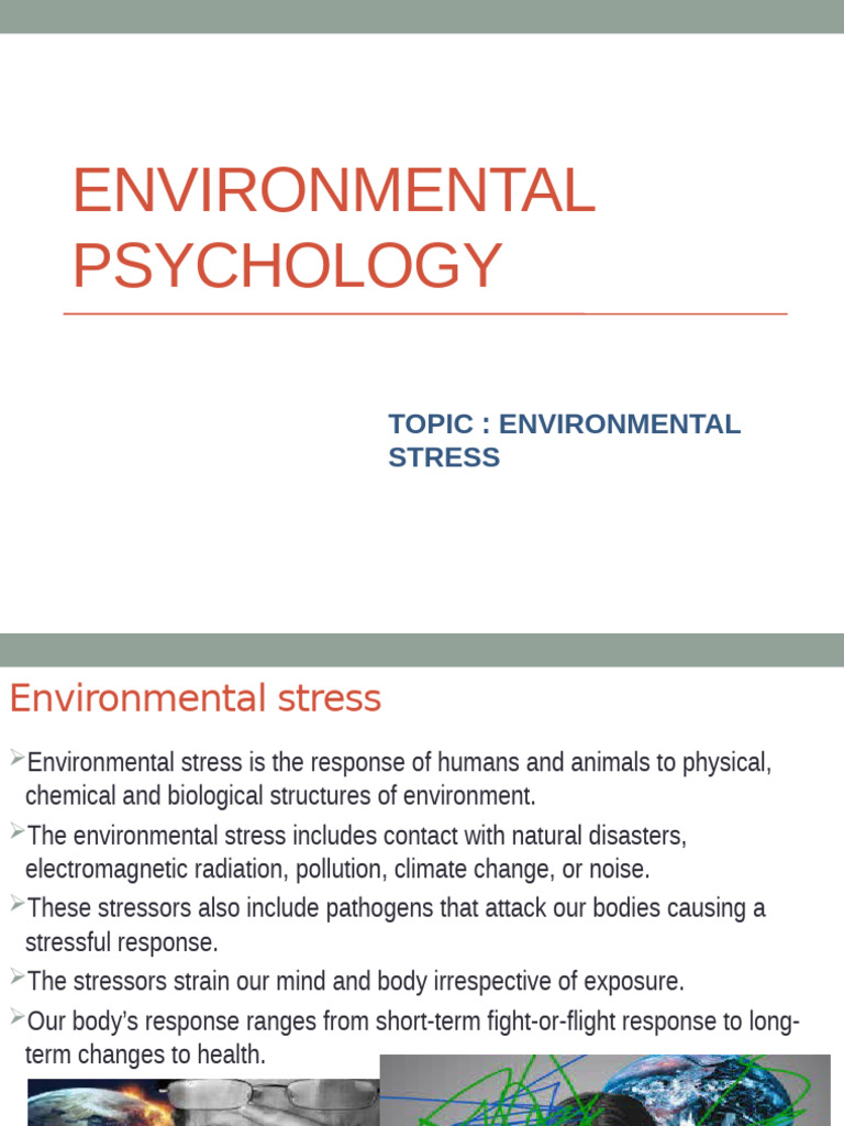 Understanding Environmental Stressors | PDF | Stress (Biology) | Noise