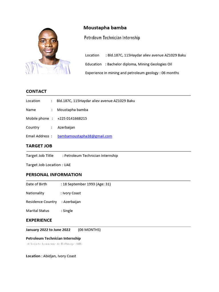 Internship CV 1 | PDF