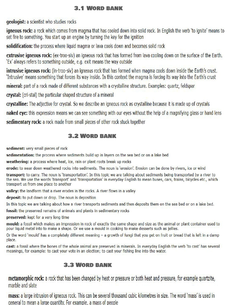 Unit 3 Word bank | PDF