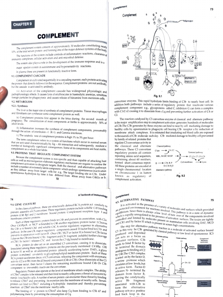 Adobe Scan 12-Apr-2024 | PDF | Complement System | Cell Biology