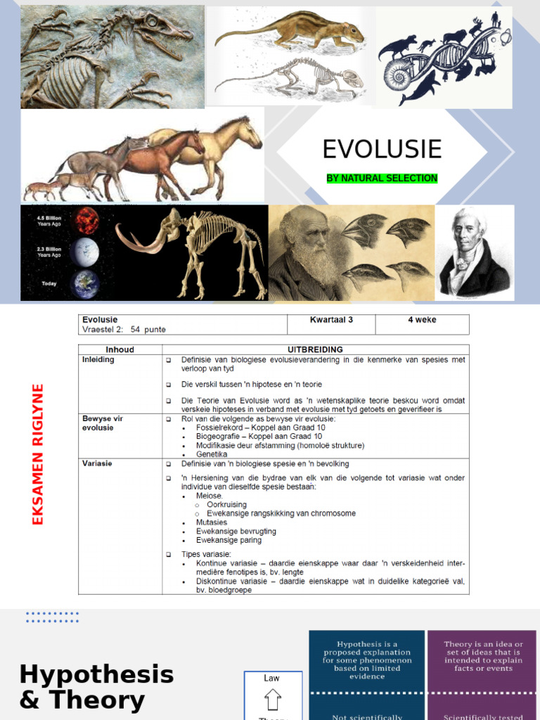 Evolution By Natural Selection Pdf Evolution Meiosis