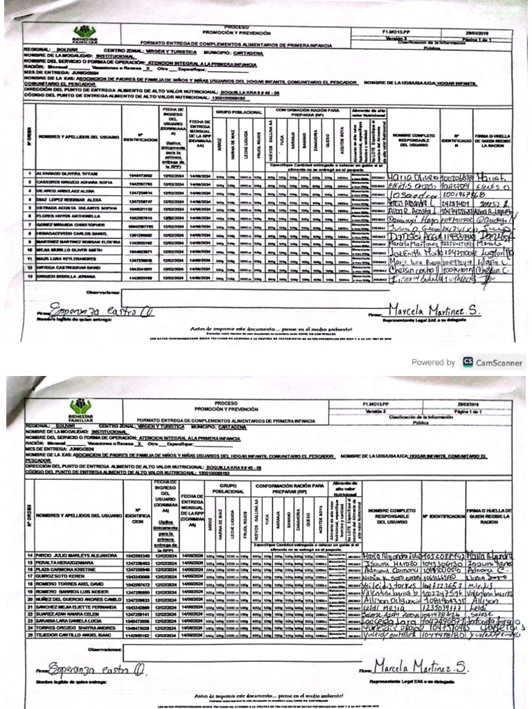 Formatos de RPP | PDF