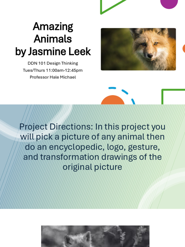 Animal Drawing Project Guidelines | PDF