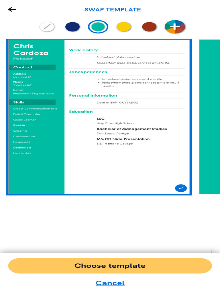 Chris Cardoza Resume Overview | PDF