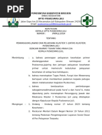 SK Struktur Organisasi Dan Tim Kerja Ilp Puskesmas Buleleng Iii | PDF