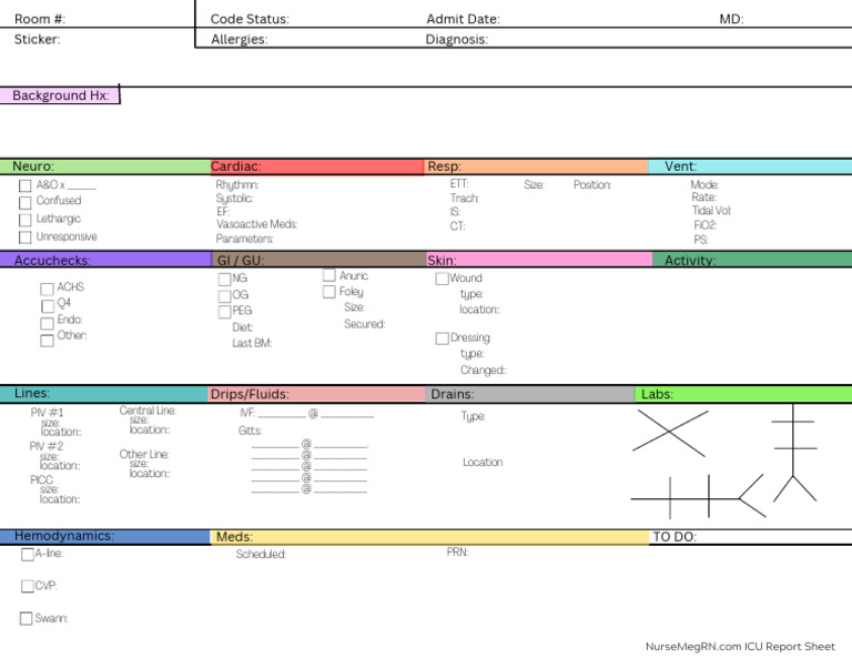 CCU Report Sheet | PDF