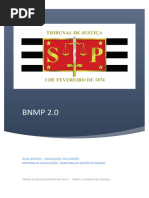 Manual Do Usuário - BNMP 3.0 | PDF | Prisão