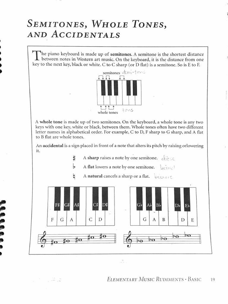 Semitones, Whole Tones and Accidentals - Theory 3 | PDF