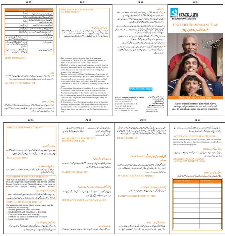 State Life Endowment Insurance Plan | PDF | Insurance | Life Insurance